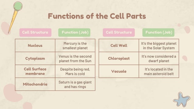 Science Subject for High School - 9th Grade_ Cell Biology by Slidesgo.pptx