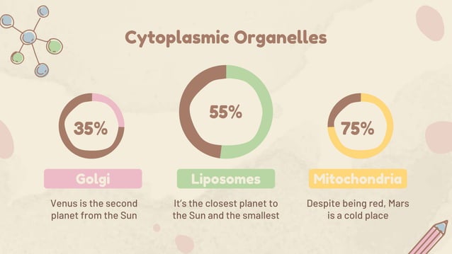 Science Subject for High School - 9th Grade_ Cell Biology by Slidesgo.pptx