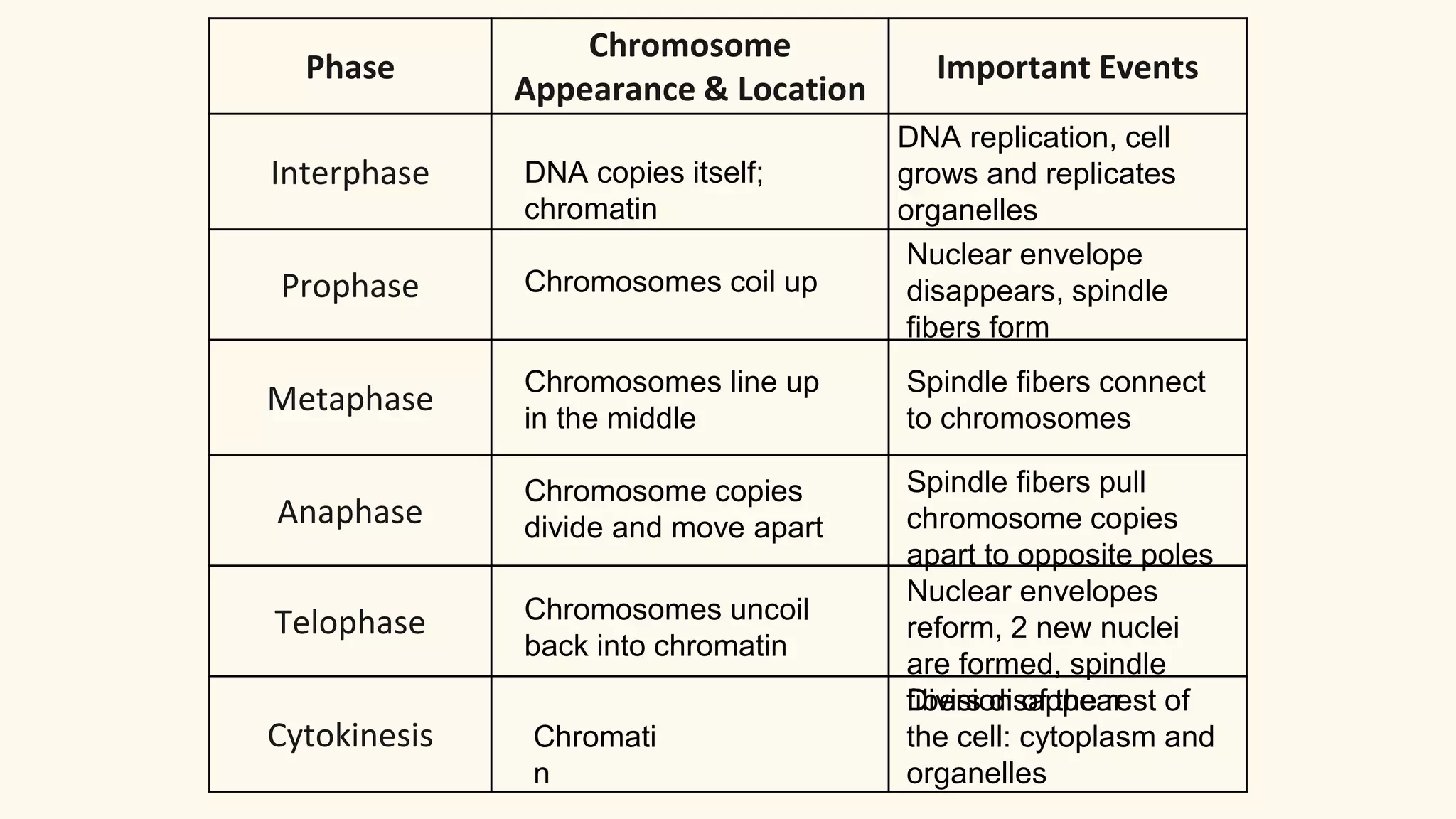 Science Subject for High School - 9th Grade_ The Building Blocks of ...