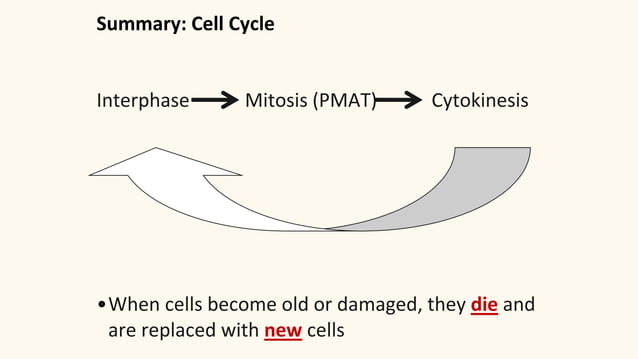 Science Subject for High School - 9th Grade_ The Building Blocks of ...