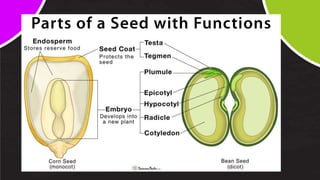 Science Subject for Middle School - 7th Grade DNA in Biology by ...