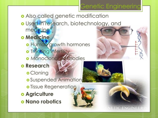 Science, technology and engineering | PPSX