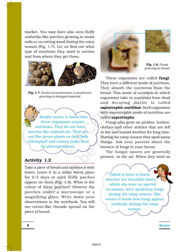 Science textbook class 7 ncert full book | PDF