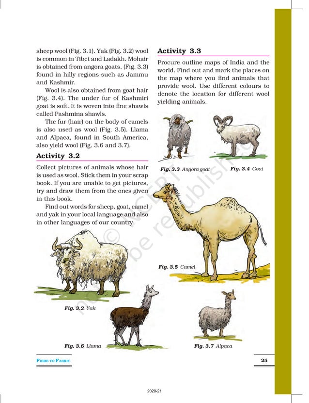 Science textbook class 7 ncert full book | PDF