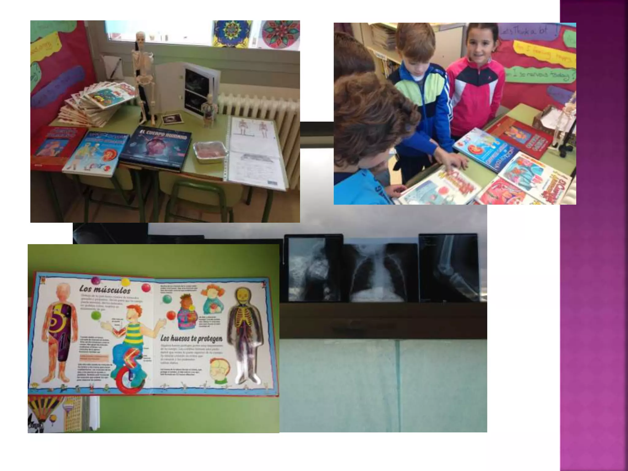 Science – the human body | PPT