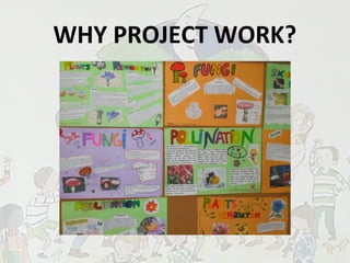 Science through English | PPT | Education