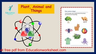 Science worksheets | PPT