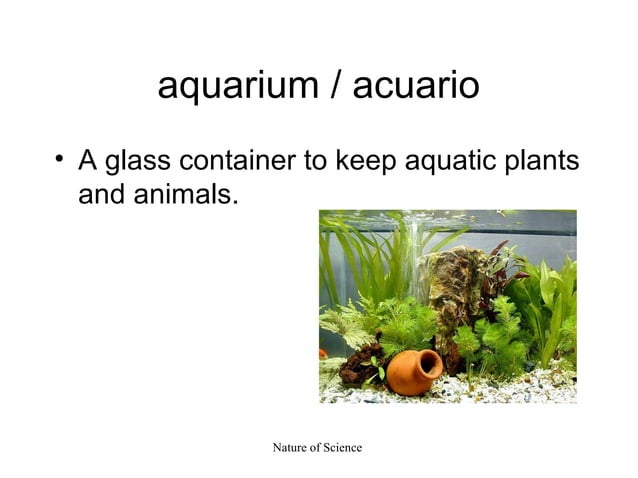 Science Tools | PPT | Physics | Science