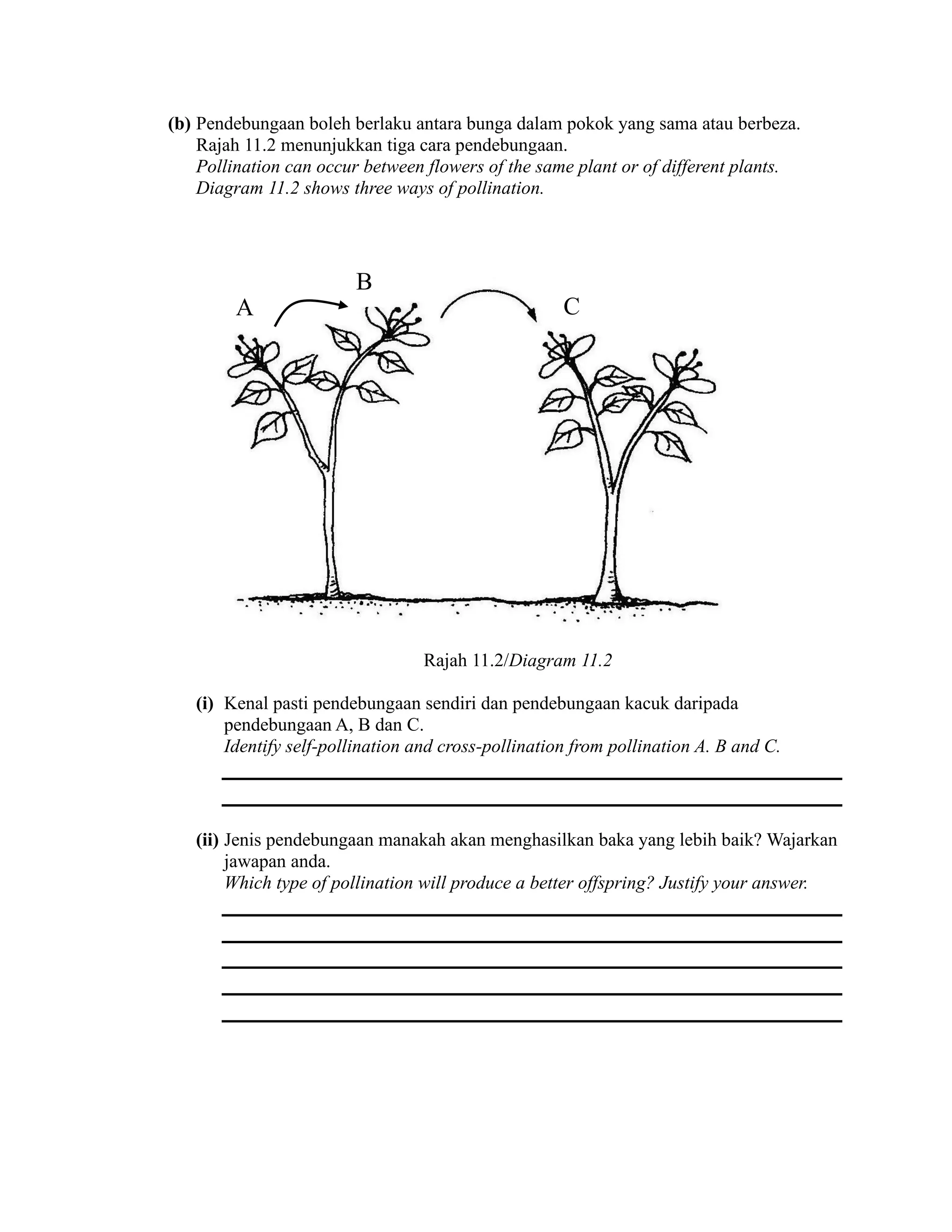 Science_(UASA) F1_ Sains DLP Model 1_2023.pdf