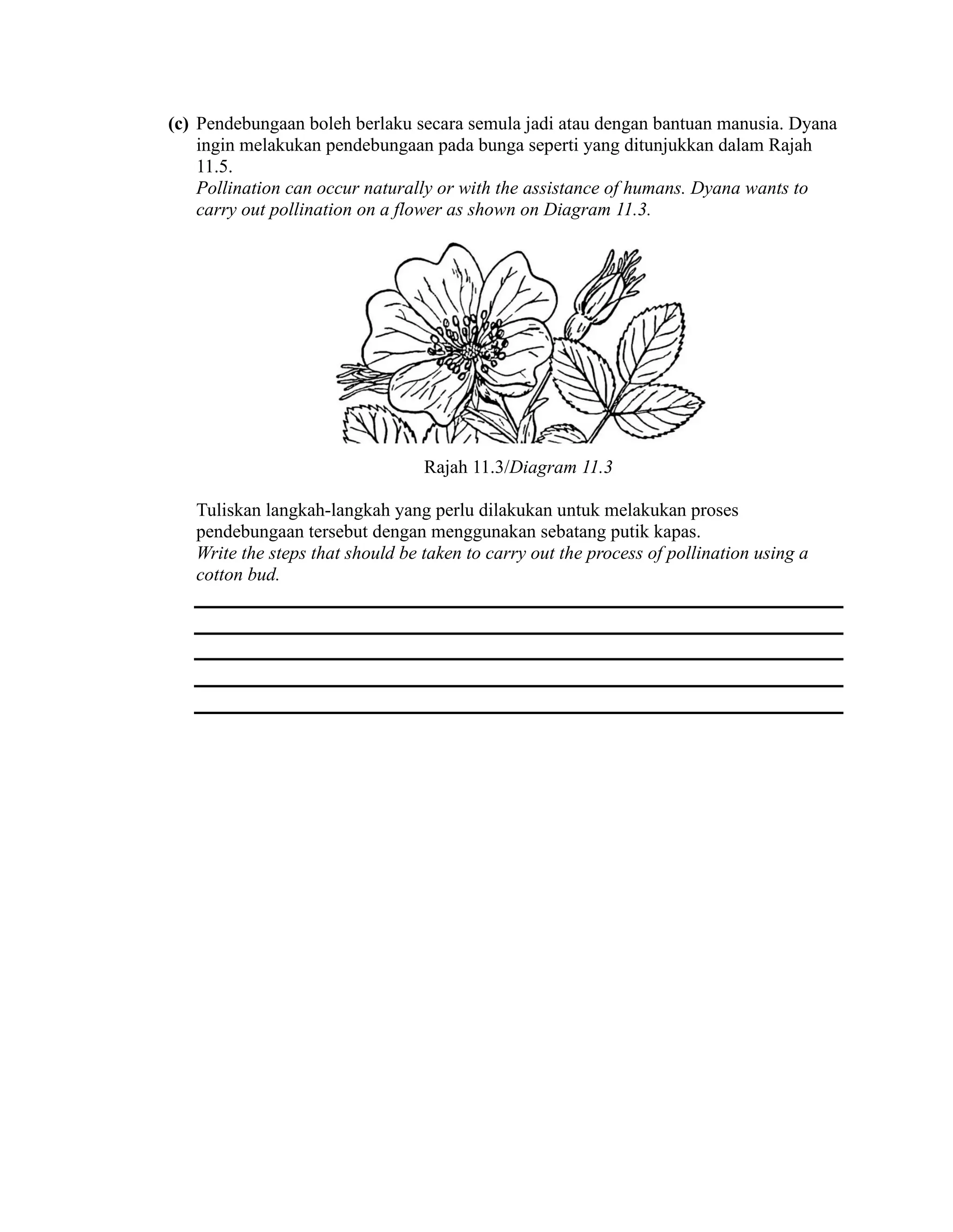 Science_(UASA) F1_ Sains DLP Model 1_2023.pdf