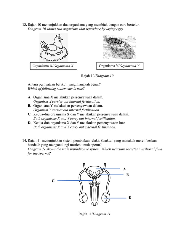Science_(UASA) F1_ Sains DLP Model 1_2023.pdf