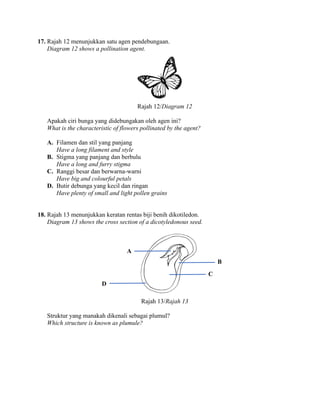 Science_(UASA) F1_ Sains DLP Model 1_2023.pdf