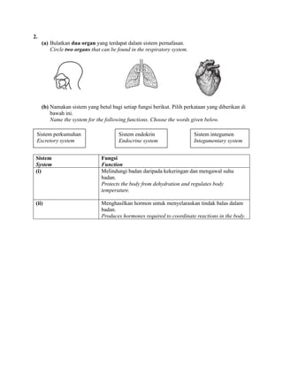 Science_(UASA) F1_ Sains DLP Model 1_2023.pdf