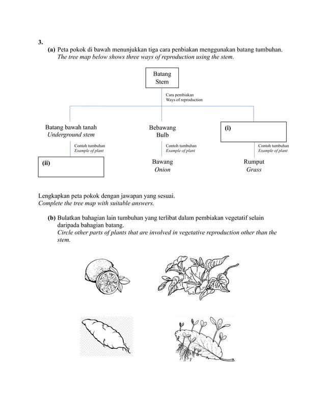 Science_(UASA) F1_ Sains DLP Model 1_2023.pdf