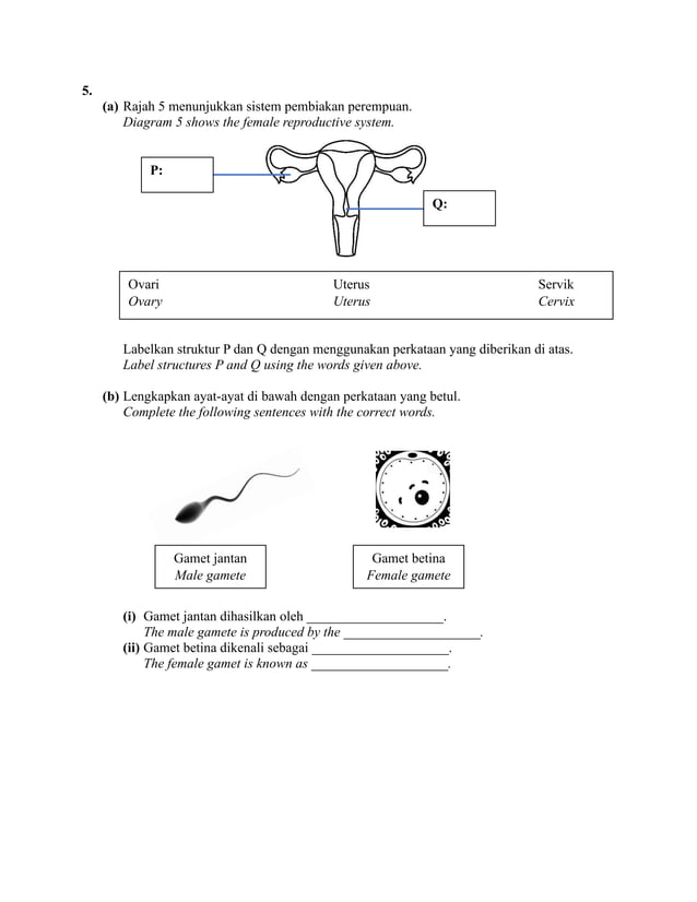 Science_(UASA) F1_ Sains DLP Model 1_2023.pdf