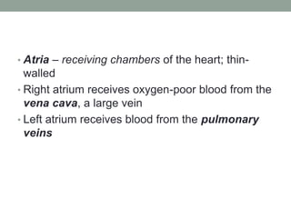 Organs of Cardiovascular System | PPT