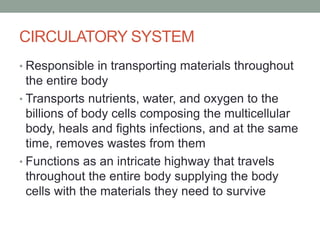 Organs of Cardiovascular System | PPTX