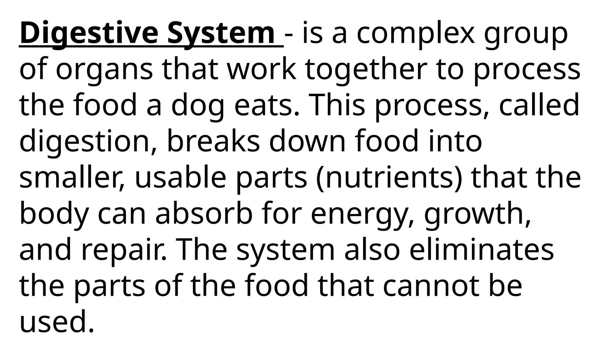 Science - Digestive System of a Dog.pptx