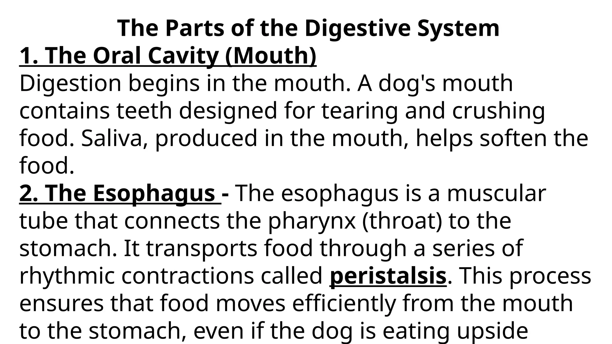 Science - Digestive System of a Dog.pptx