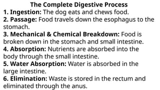 Science - Digestive System of a Dog.pptx
