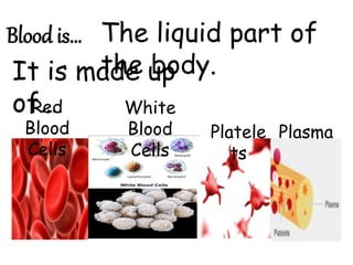 The Blood | PPT