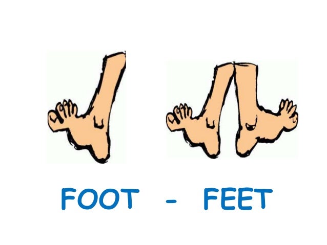 Science vocabulary. essential science 1