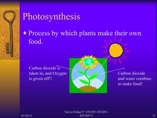 Science Vocabulary Plants | PPT