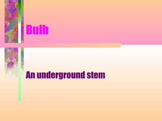 Science vocabulary (science) | PPT