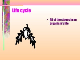 Science vocabulary (science) | PPT