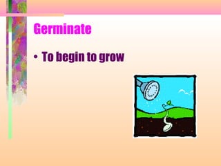 Science vocabulary (science) | PPT