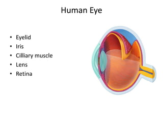 Science vs engineering.pptx