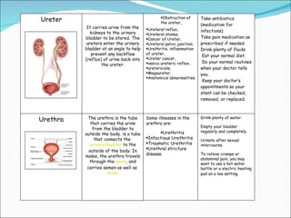 Science water i excretory system | PPT