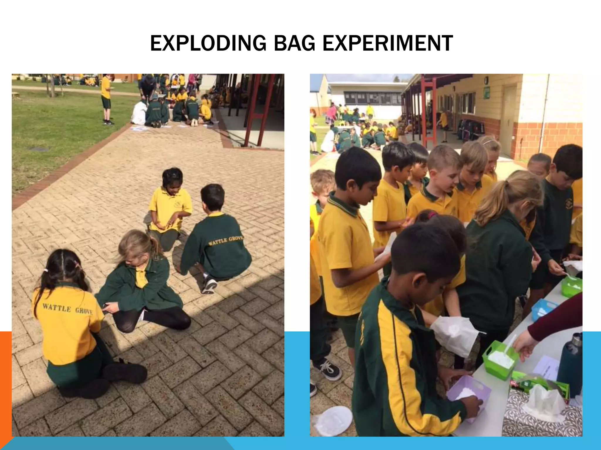 Science week | PPT