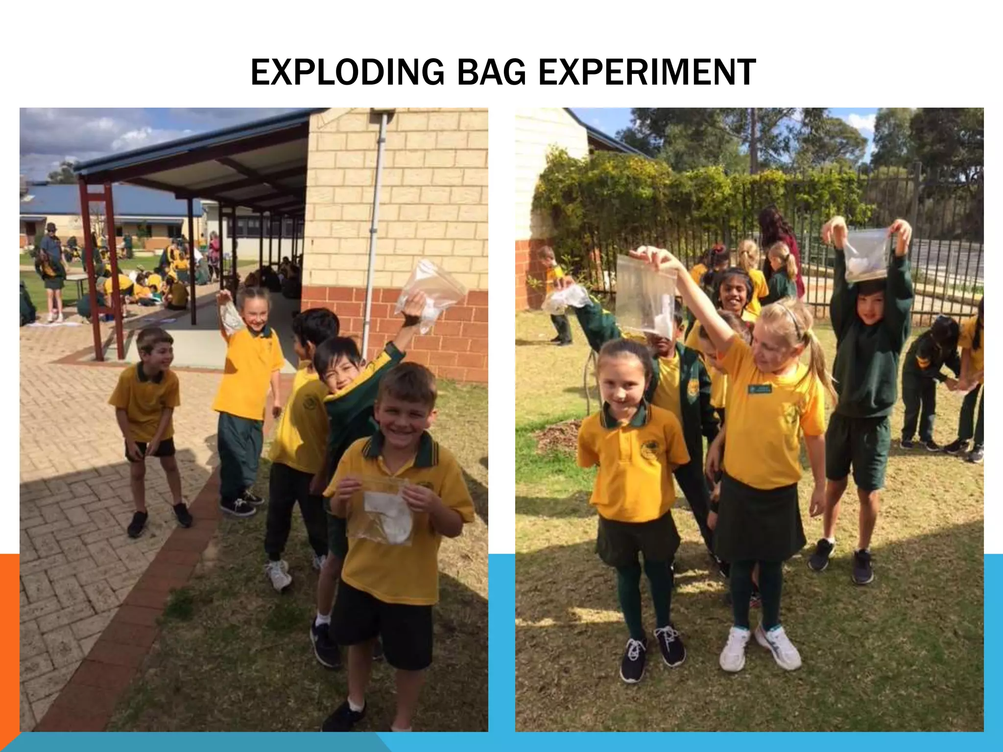 Science week | PPT