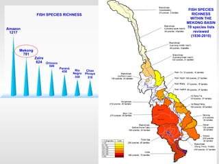 Science Forum Day 1 - Eric Baran - Fisheries and dam development in the ...
