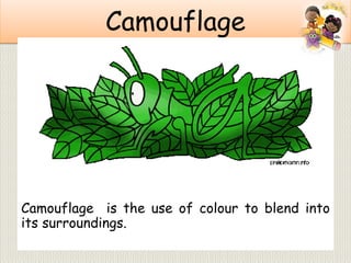 Plant & Animal Adaptations | PDF