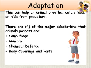 Plant & Animal Adaptations | PPT