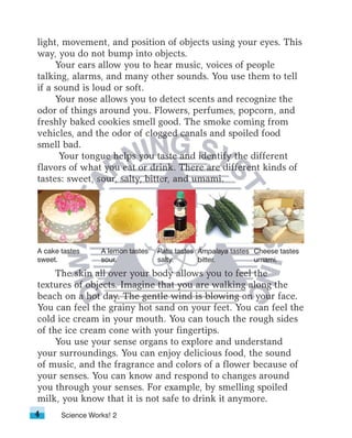 Science Works Grade 2 | PDF