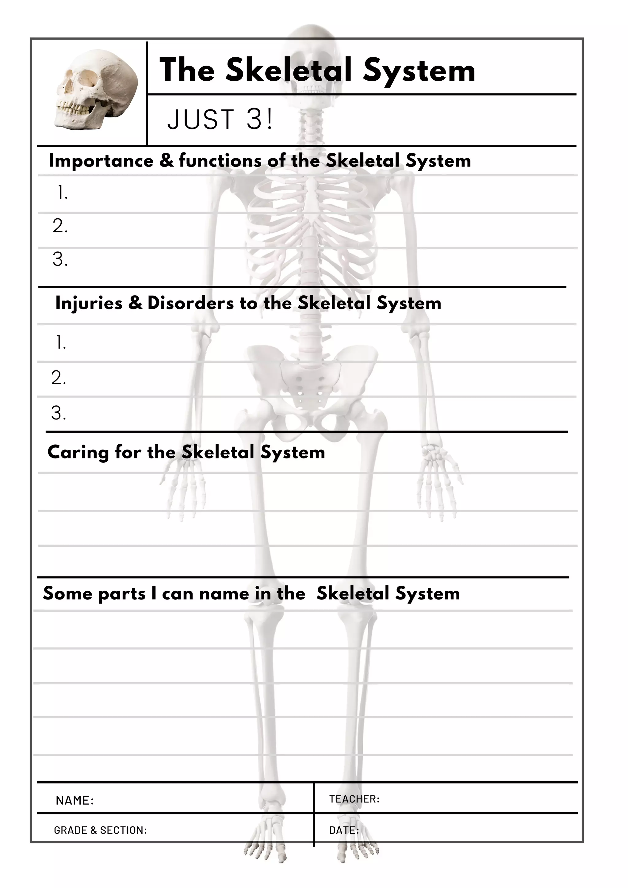 JUST 3Science worksheet-Systems of the body | PDF
