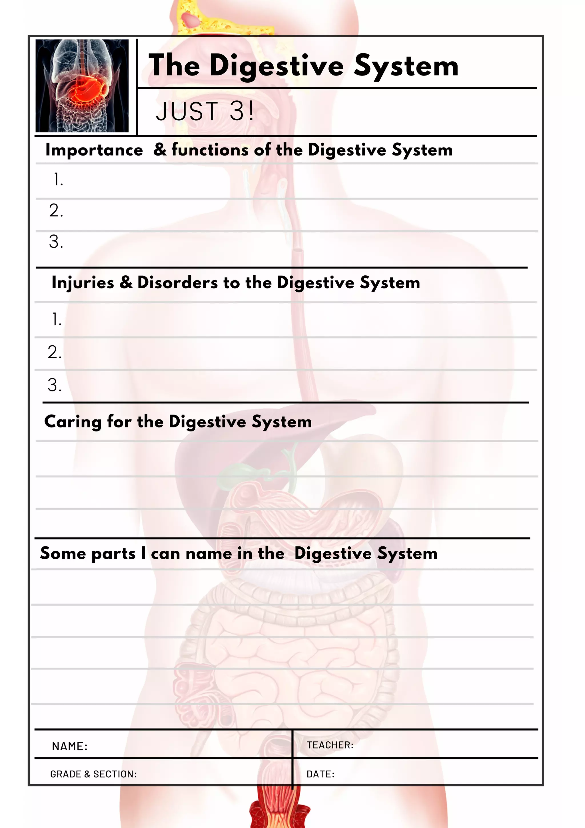 JUST 3Science worksheet-Systems of the body | PDF