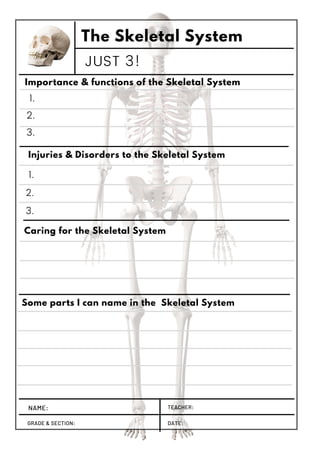 JUST 3Science worksheet-Systems of the body | PDF
