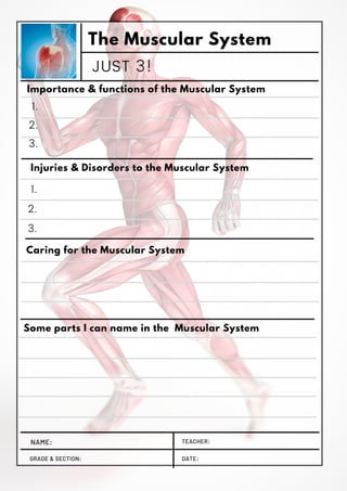 JUST 3Science worksheet-Systems of the body | PDF