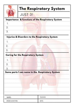 JUST 3Science worksheet-Systems of the body | PDF