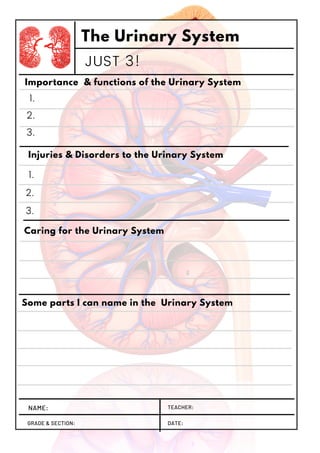 JUST 3Science worksheet-Systems of the body | PDF