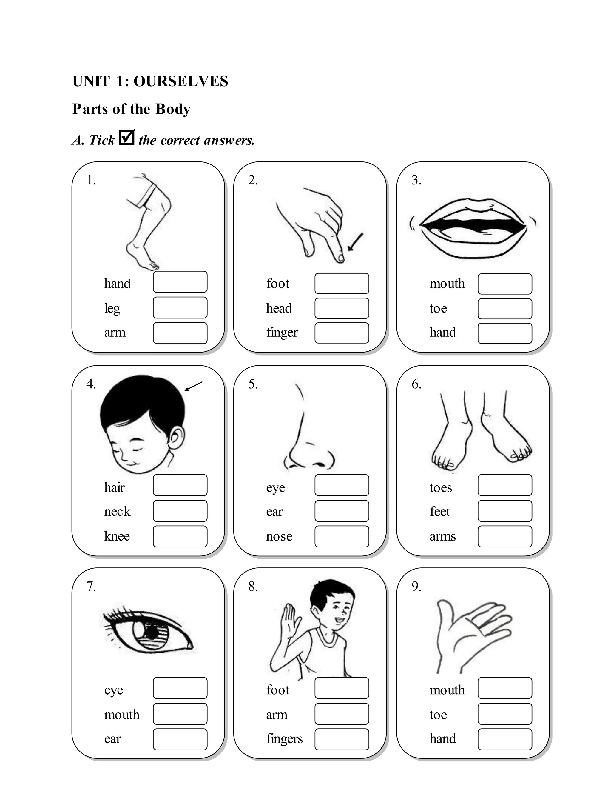 Science y1 exercises | DOC