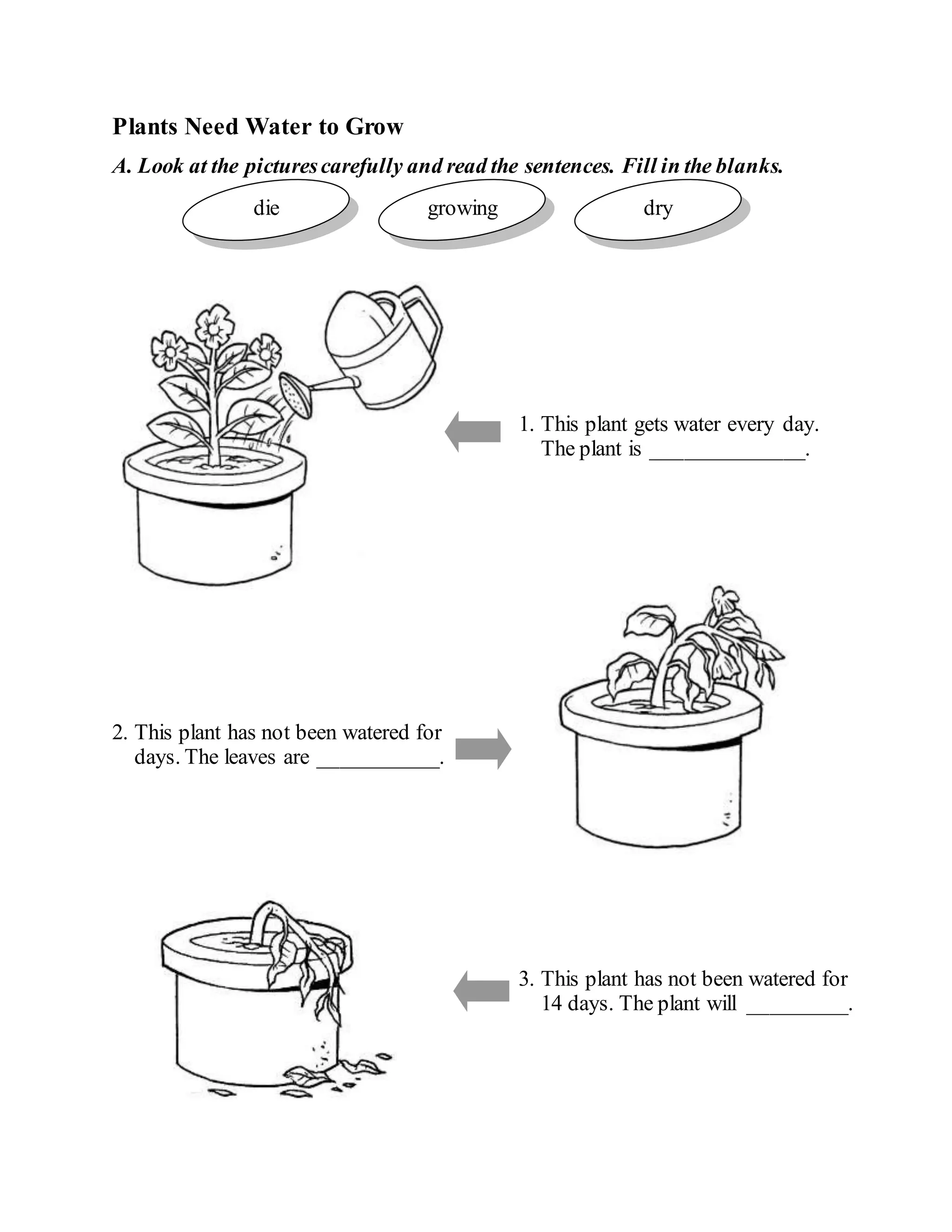 Science y1 exercises | DOC