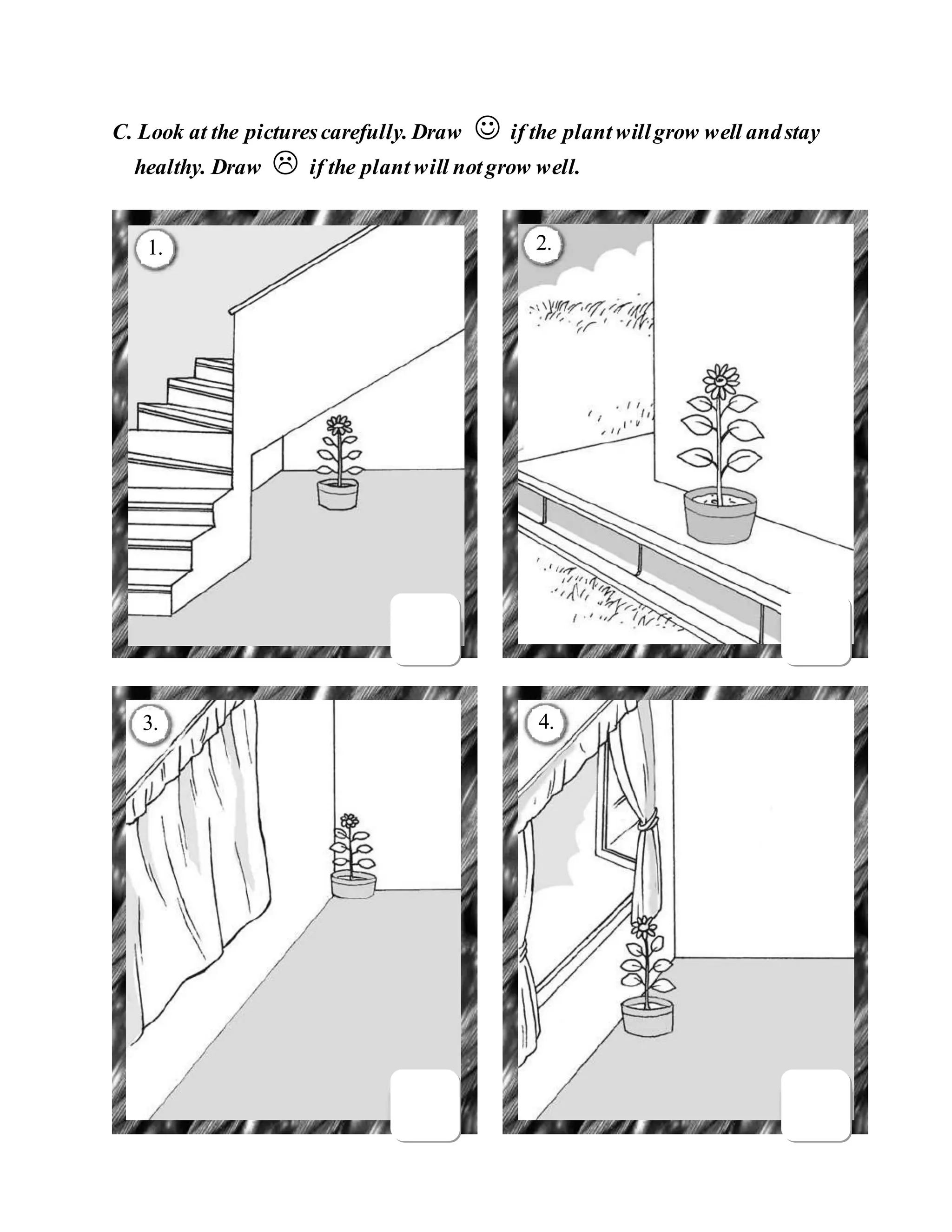 Science y1 exercises | PDF