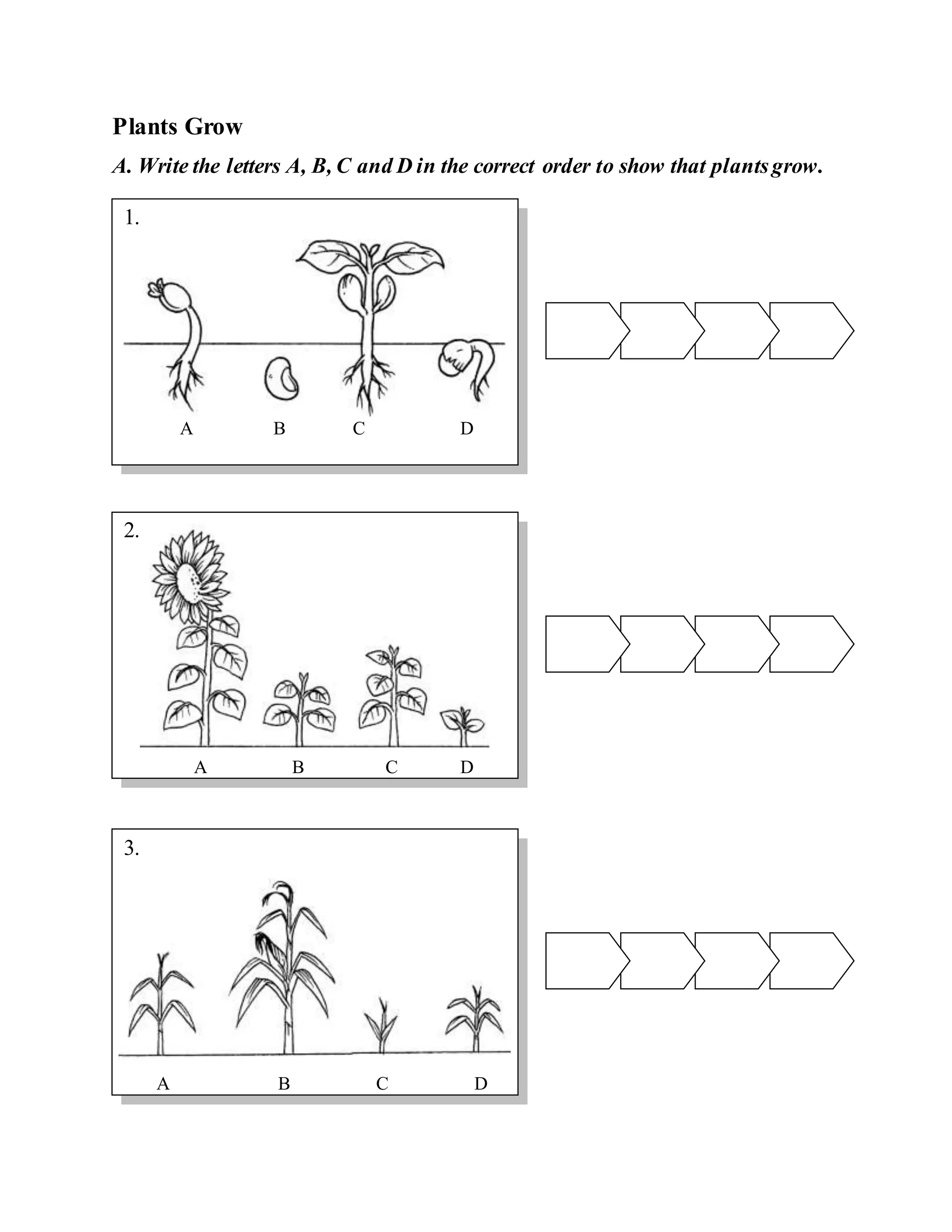 Science y1 exercises | DOC