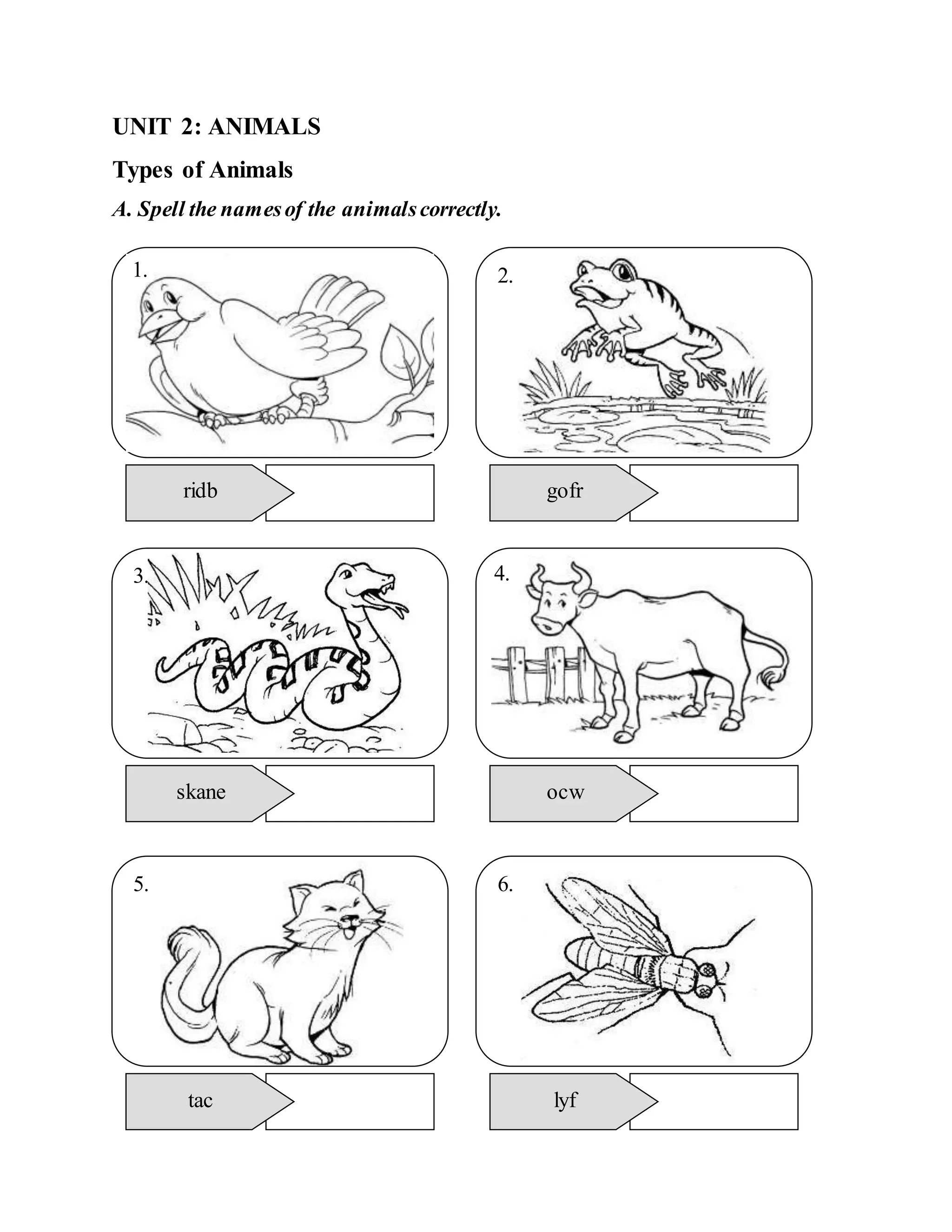 Science exercise year 1 | DOC
