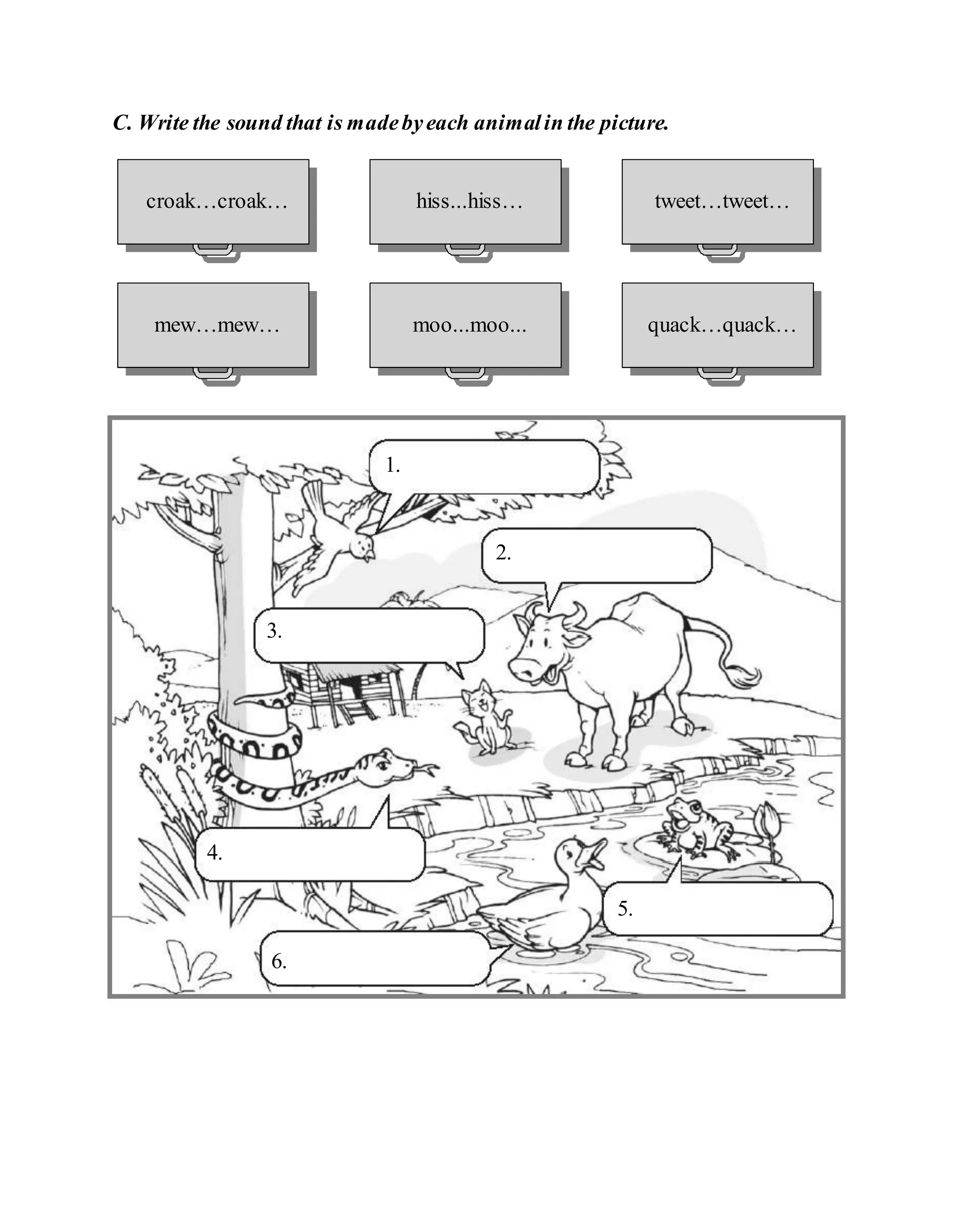 Science exercise year 1 | DOC